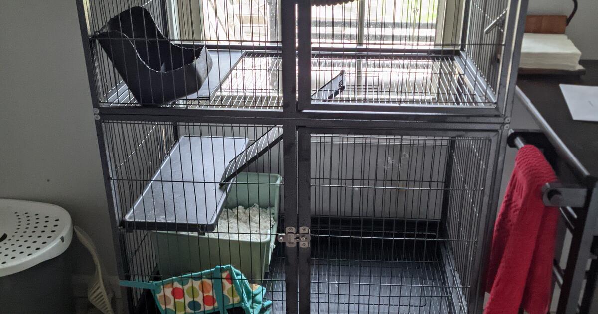 Large critter cage for $30 in Louisville, KY | For Sale & Free — Nextdoor