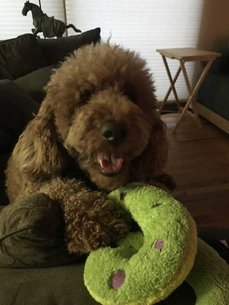 undefined - Nextdoor