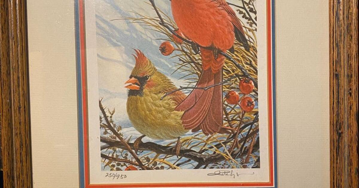 John Pitcher prints ‘Autumn Black-Caps’ and ‘Windy Cardinal’ signed and ...