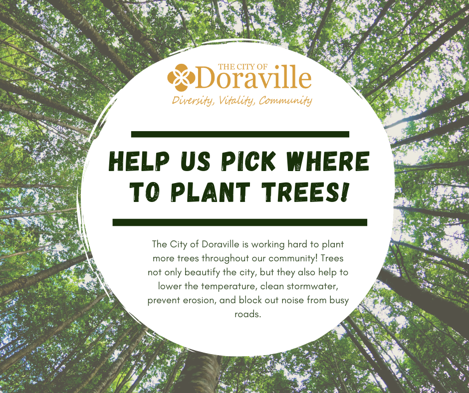 Tree Planting Survey/Encuesta para plantar de árboles en la Ciudad ...