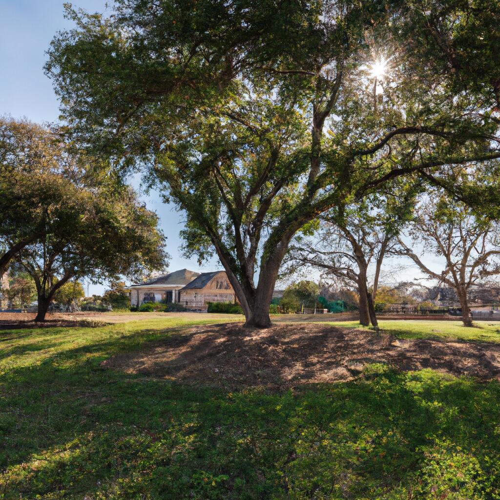 Live Oak Park, Live Oak | Everything You Need to Know