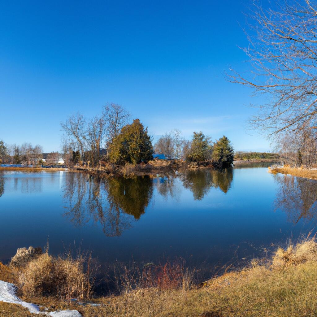 Forest Lake, Abrams | Everything You Need to Know