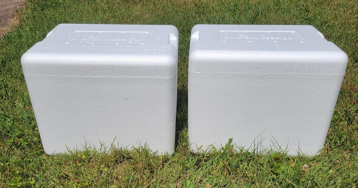Free: TWO STILL AVAILABLE- Styrofoam Coolers for the holiday weekend ...