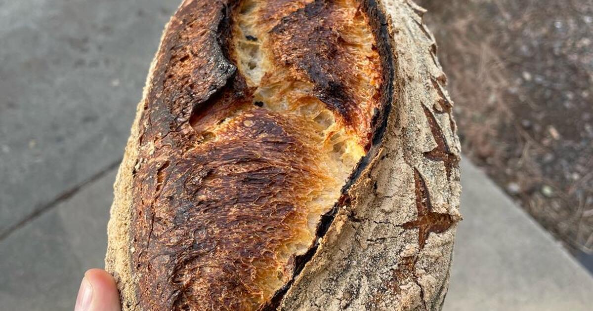 Homemade sourdough bread for $10 in Potomac, MD | For Sale & Free ...