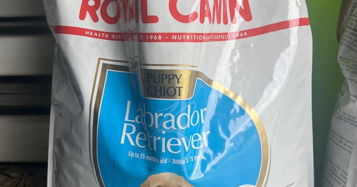 Free Royal Canin Lab dog food for Free in Apex, NC | For Sale & Free ...