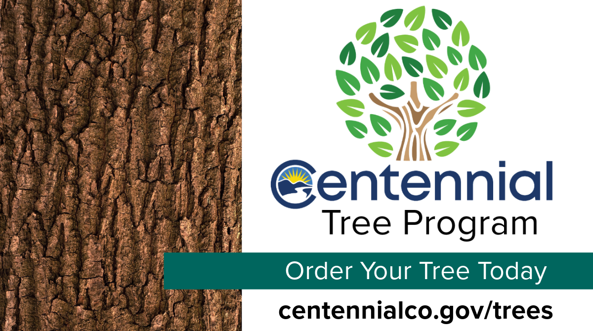Unlock the beauty of nature in your backyard through Centennial's Tree ...