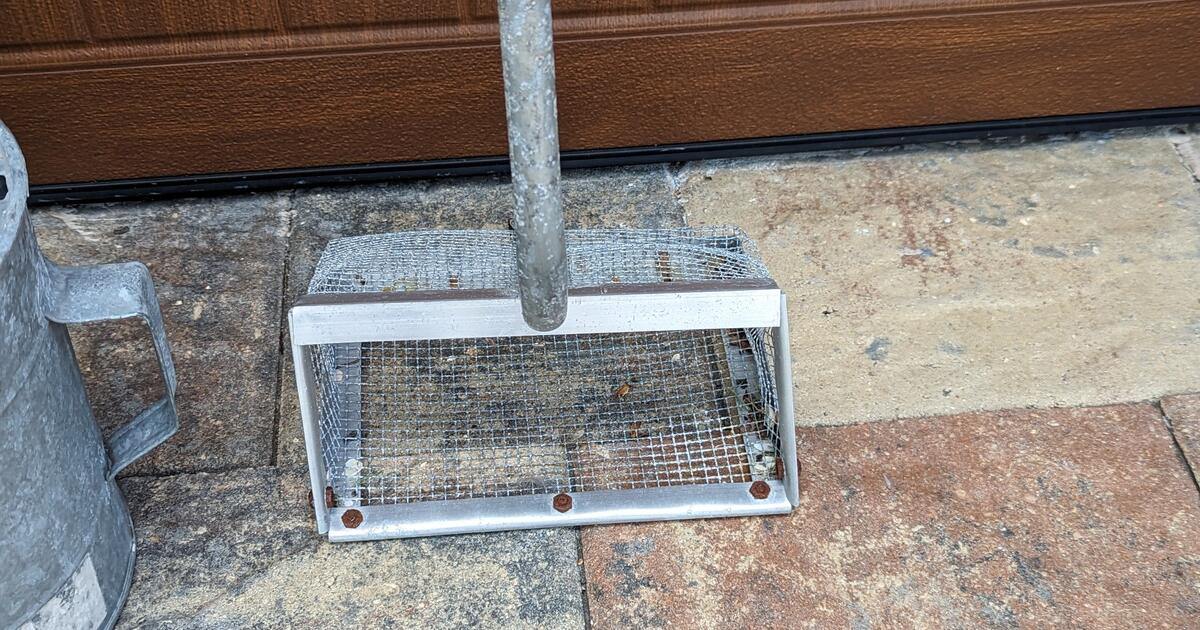 Venice Sharks tooth Rake for $10 in Venice, FL | For Sale & Free — Nextdoor