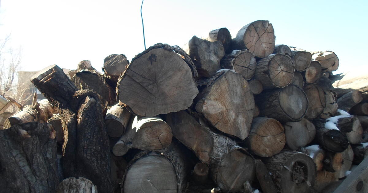 Firewood for Free in Salt Lake City, UT | Finds — Nextdoor