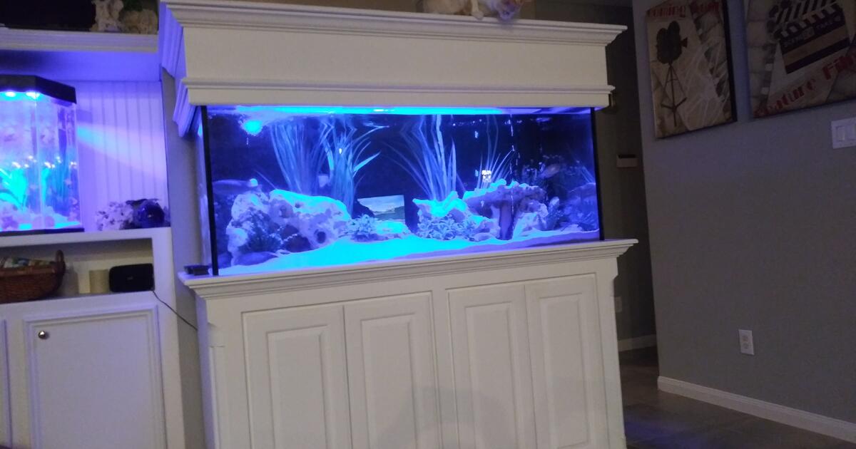 150 Professional Fresh water Fish tank with white cabinet for $500 in ...