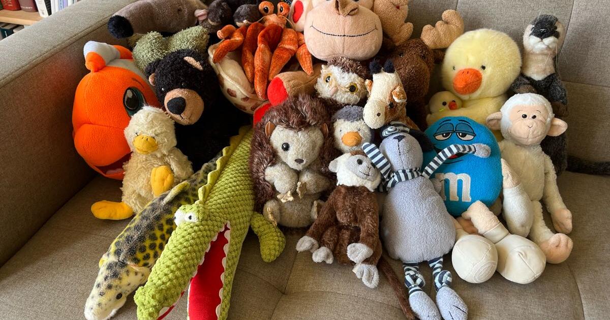 Playful collection of stuffies for Free in San Francisco, CA | Finds — Nextdoor