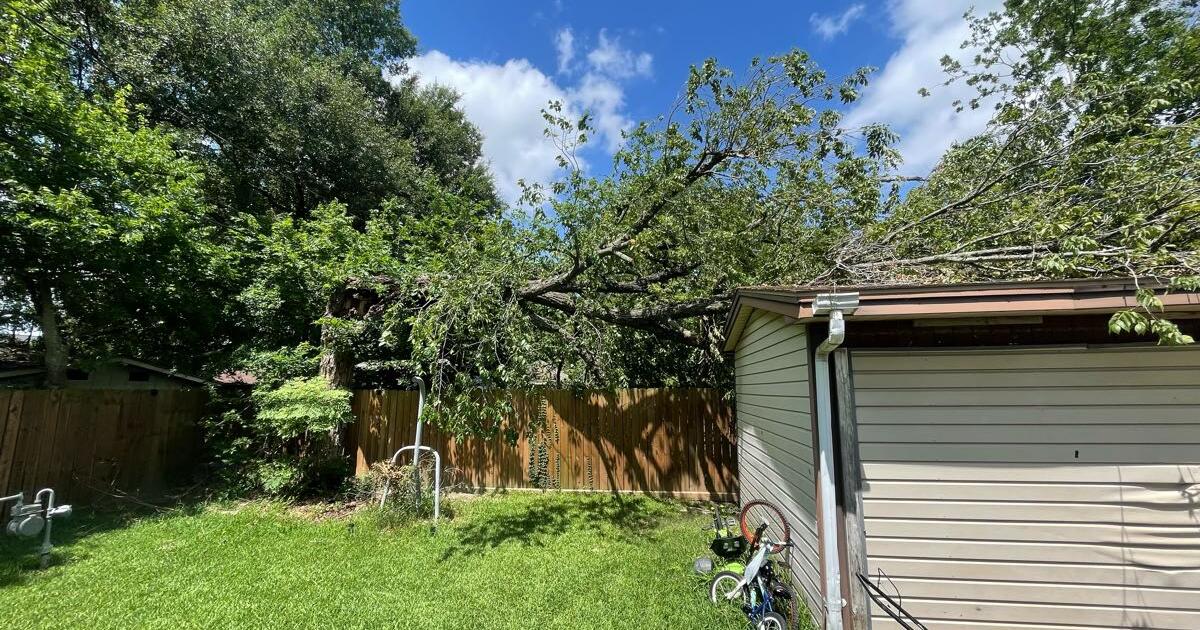 Tree/debris haul off junk removal for Free in Spring, TX | For Sale ...