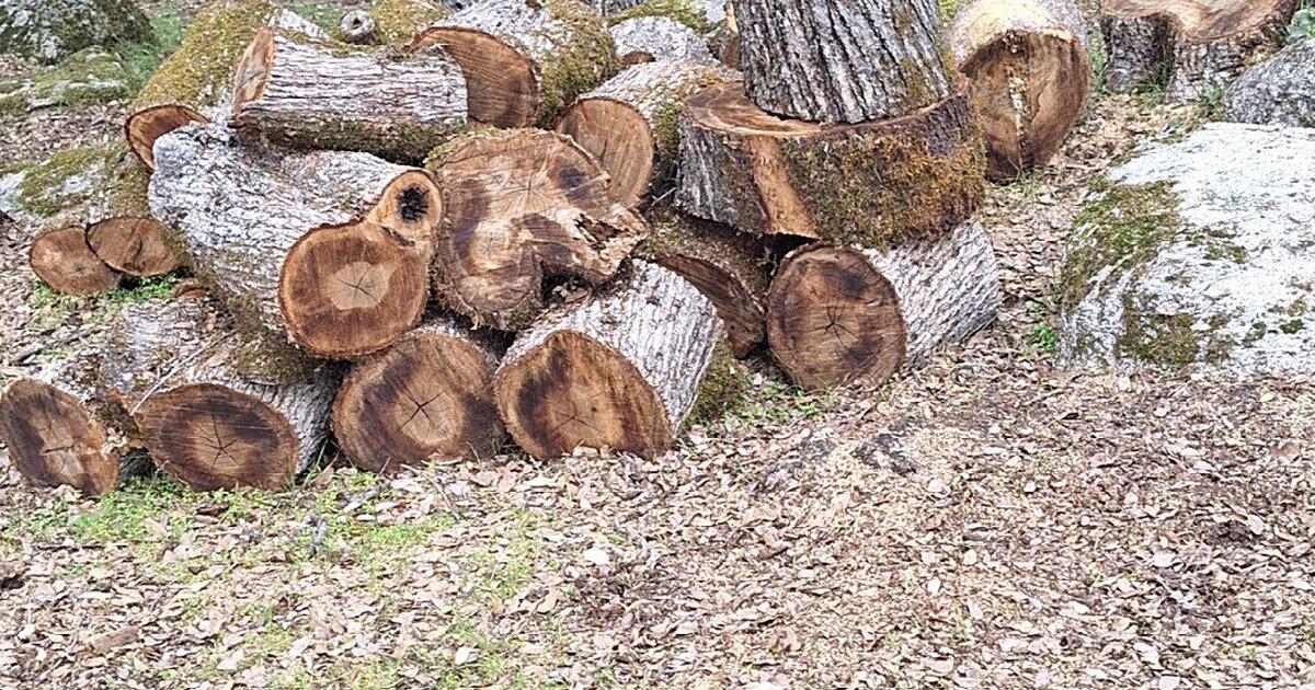 White Oak Round Fire Wood for Free in Oakhurst, CA | For Sale & Free ...