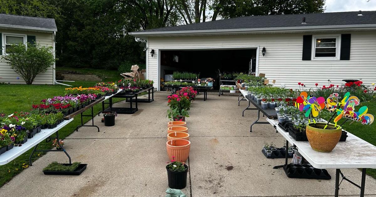 Plants for Sale in Madison, WI | For Sale & Free — Nextdoor