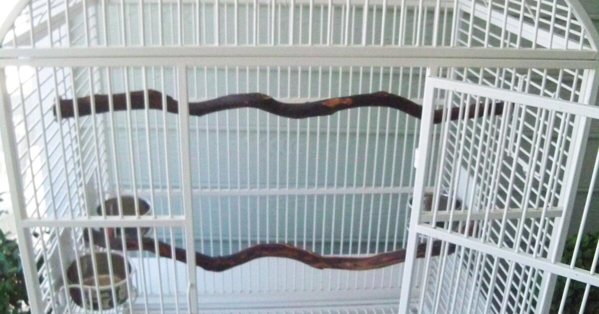 3 Pet Bird Cages for $300 in Murrells Inlet, SC | For Sale & Free ...