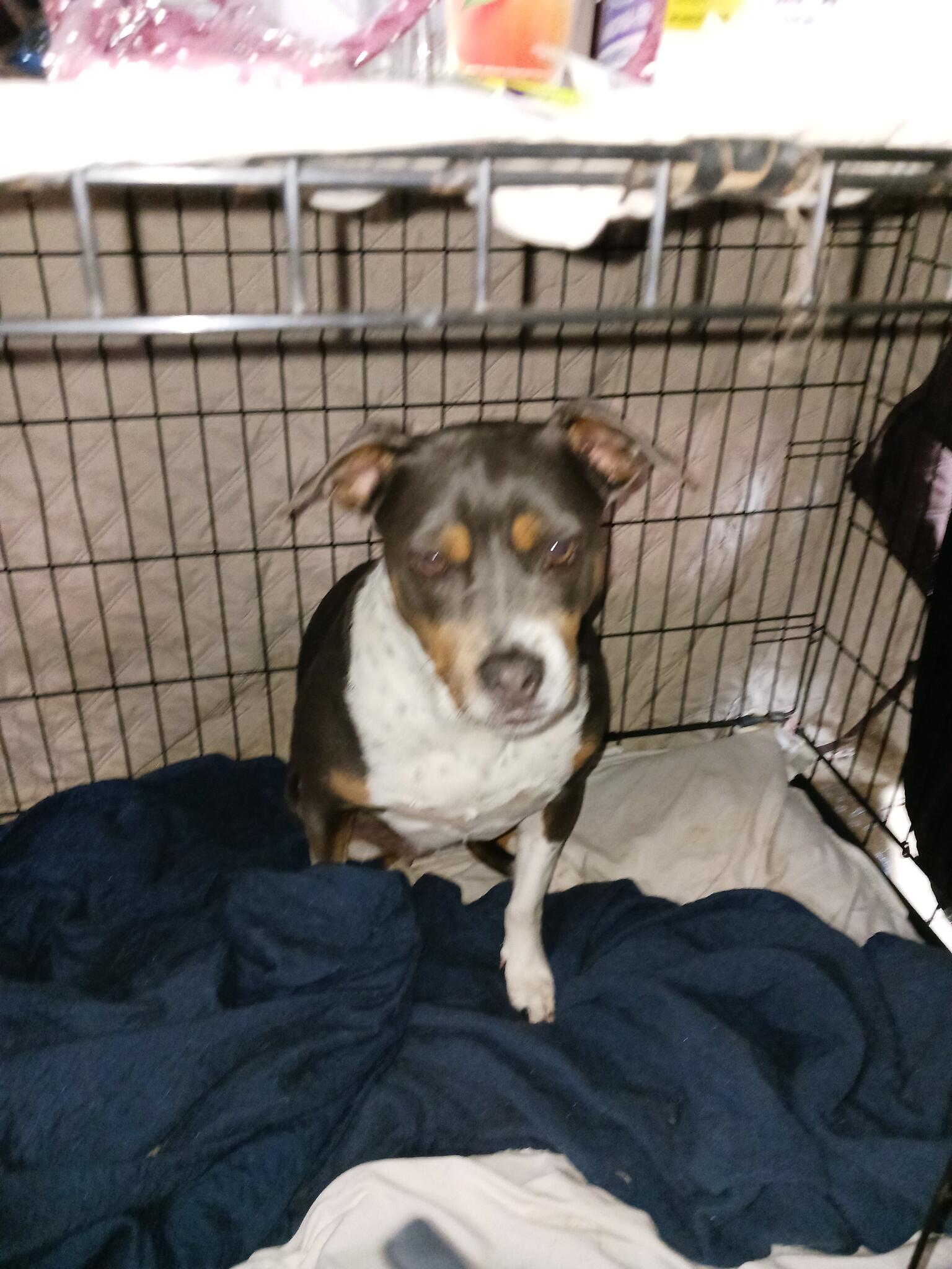 Kirby, TX | News, Crime, Lost Pets, Free Stuff