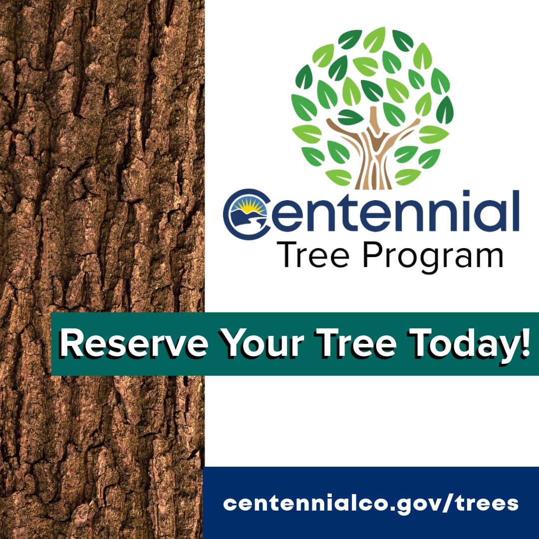 Neighbors, the Centennial Tree Program Is Back! (City of Centennial ...
