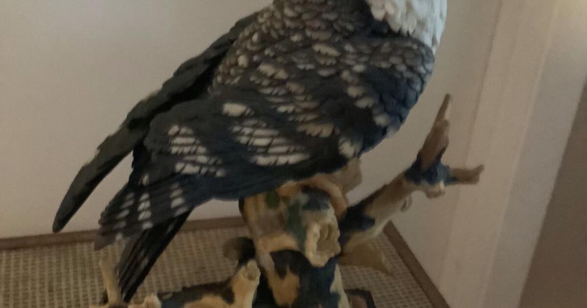 Yang Lin Collection Eagle for $60 in Land O Lakes, FL | For Sale & Free ...