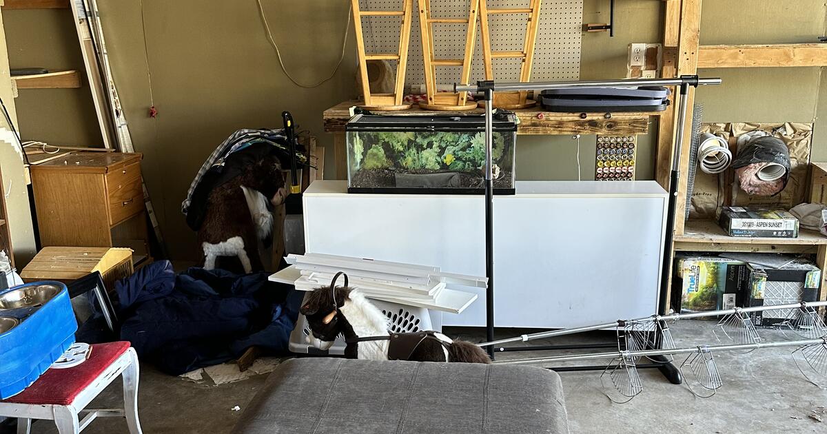 Tenant holdover opportunity/Free Stuff for Free in Round Rock, TX | For ...