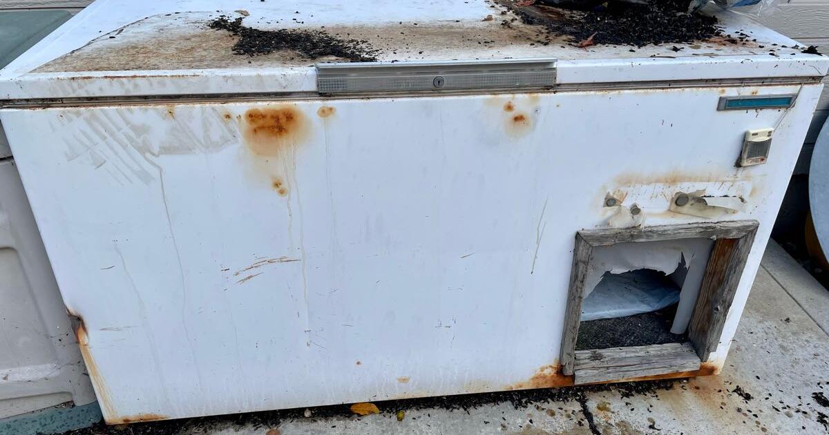 All Weather Dog &/or Animal House - Repurposed Chest Freezer for Free ...