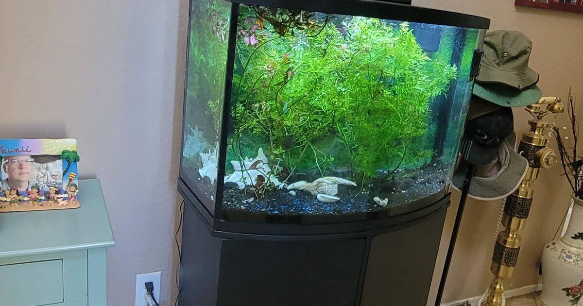 36 Gallon Bowed Aquarium Freshwater Fish Grow Tank for $200 in ...