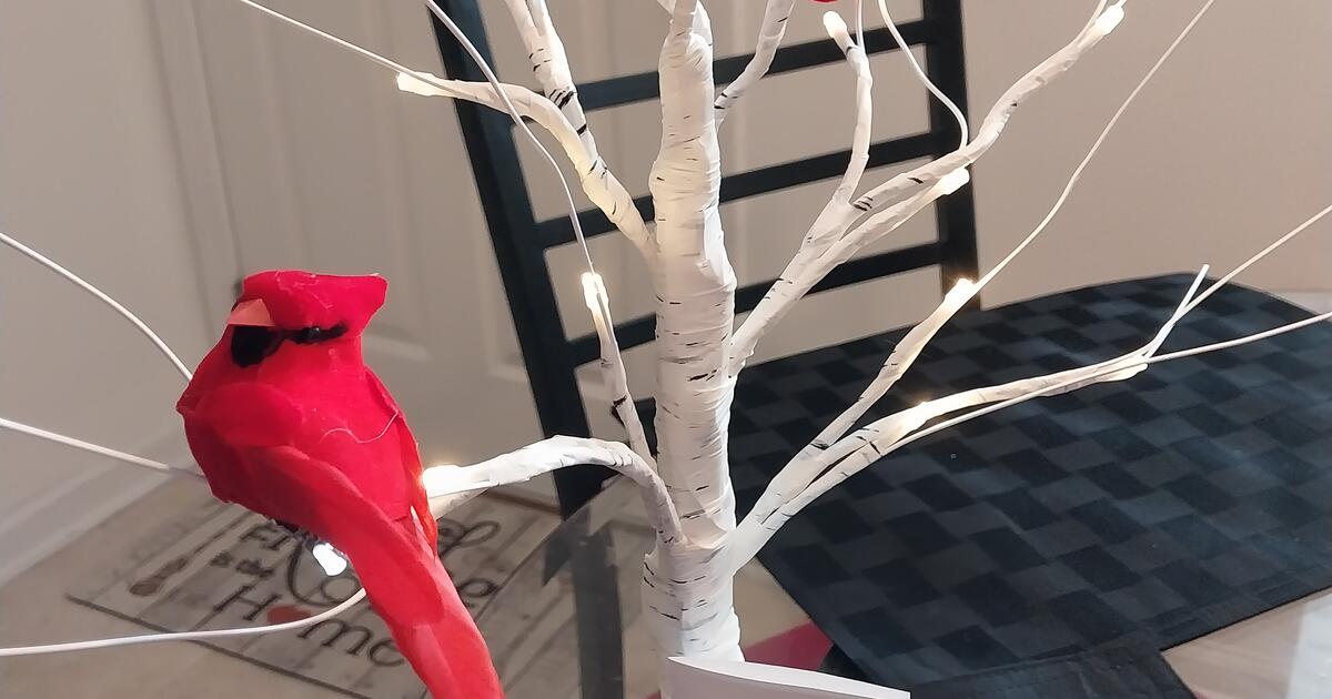 CARDINAL MESSENGER WHITE BIRCH TREE WITH LIGHTS for $29 in Fleming ...