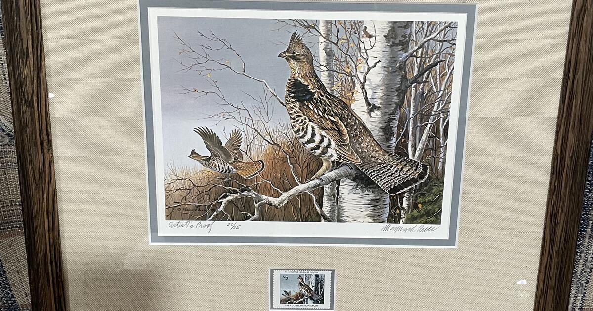 Framed Maynard Reese Ruffed Grouse Artwork with Stamp for $250 in ...