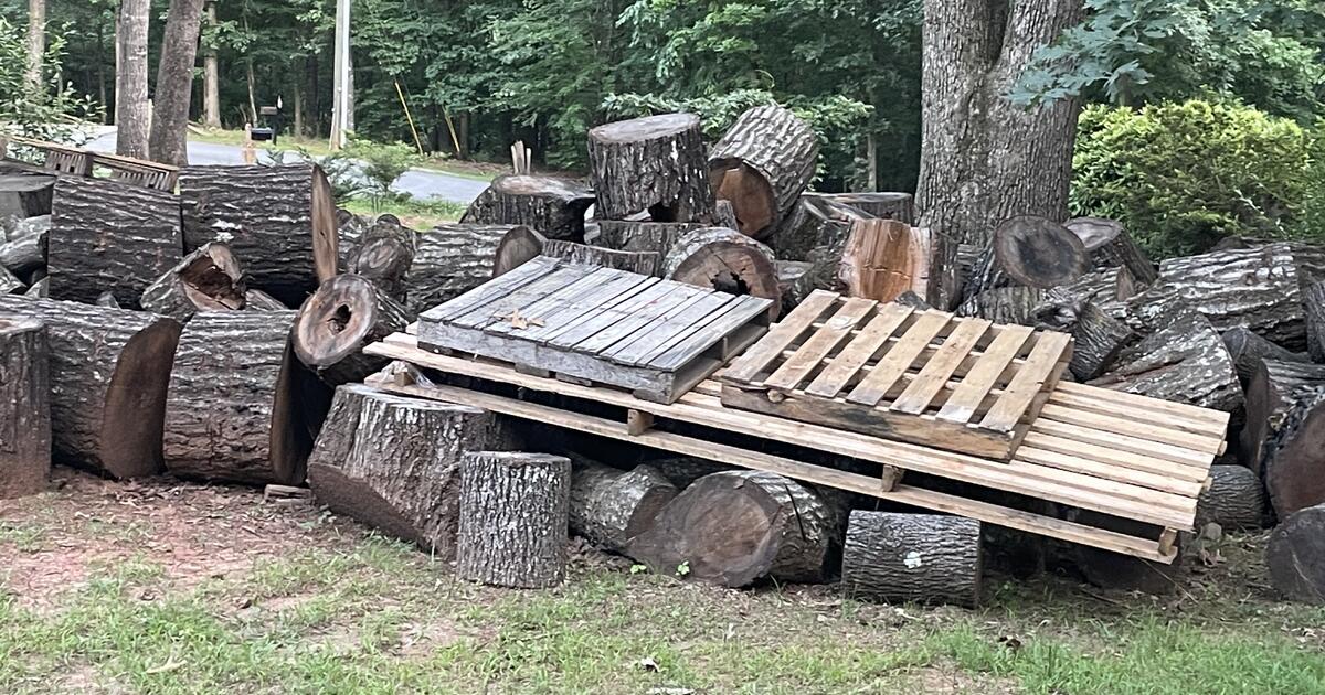 Free already cut to 24" long firewood oak not split for Free in Clermont, GA | For Sale & Free ...