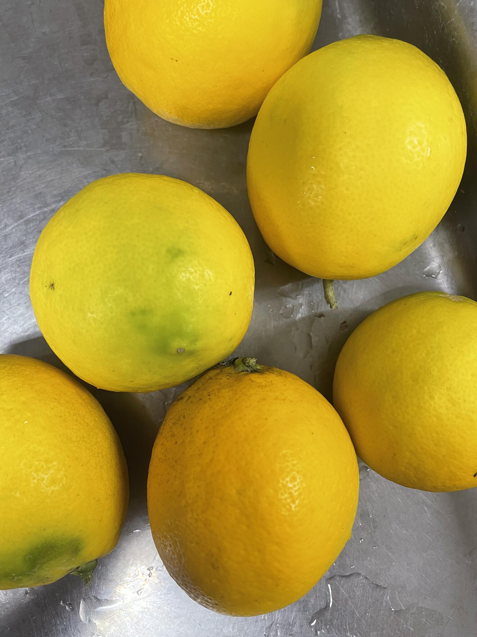 Scripps Ranch, San Diego | Trick or Treat Map and Everything You Need ...