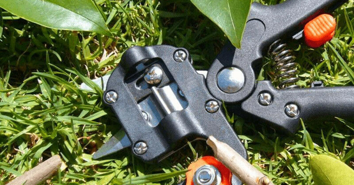 Household Garden Grafting Tool Set Fruit Tree Professional Pruning ...