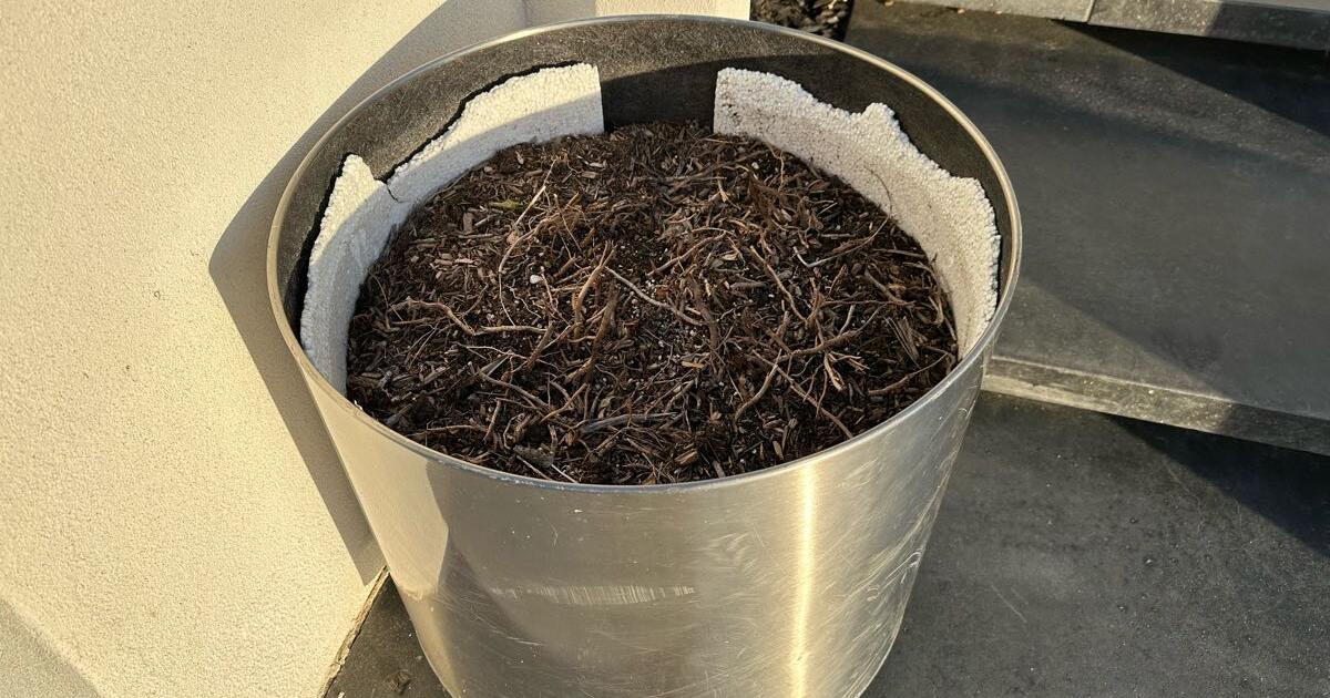 Aluminum 2 foot diameter planter for Free in La Jolla, CA | For Sale ...