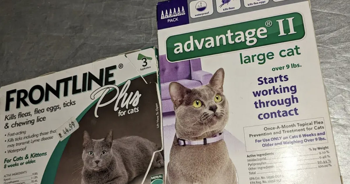 Cat medicine (1box) for $25 in Hershey, PA | For Sale & Free — Nextdoor