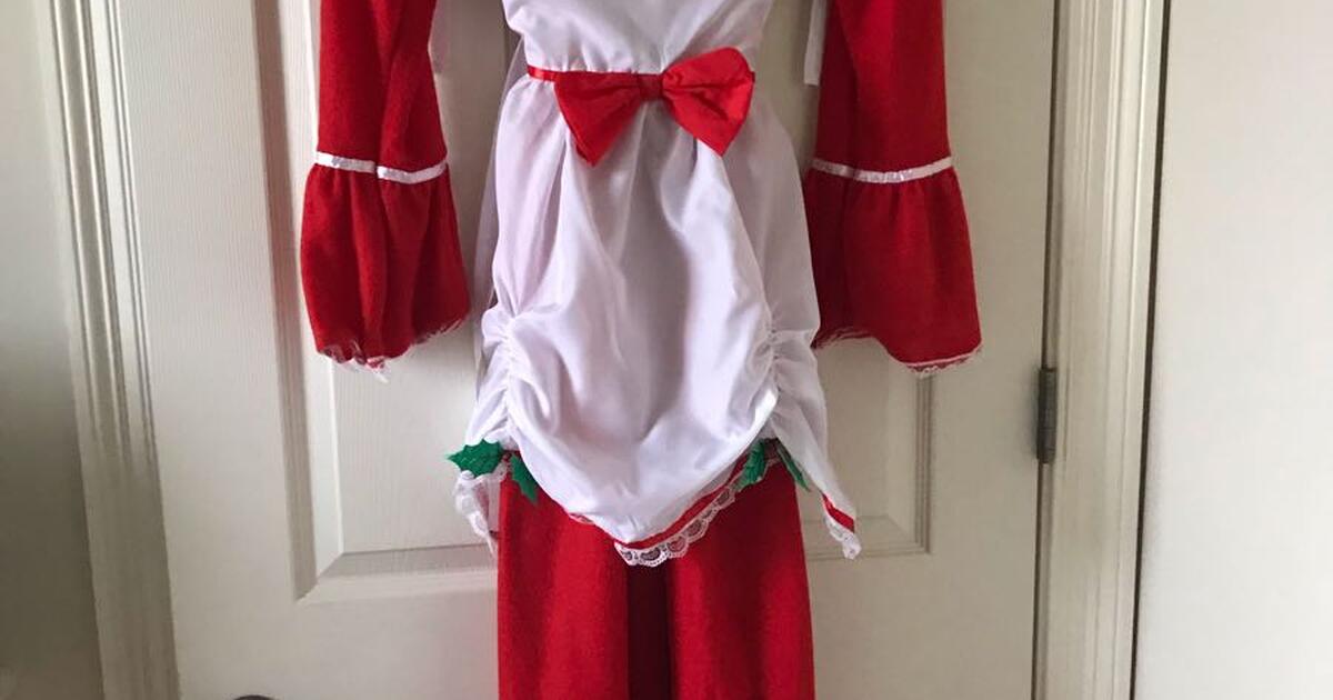 Mrs Claus Costume and Wig for $40 in St. George, LA | For Sale & Free ...