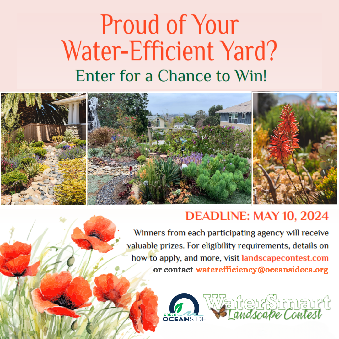 The 2024 WaterSmart Landscape Contest is now open! (City of Oceanside ...