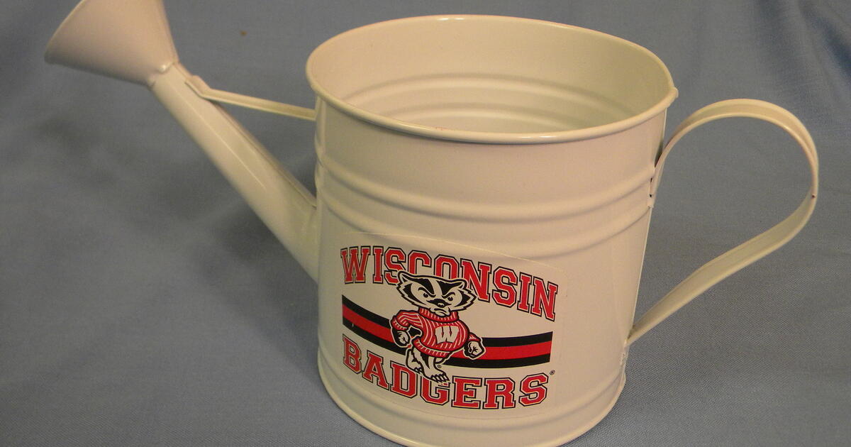 UW Madison Wisconsin Bucky Badger Logo Metal Watering Can Badgers ...