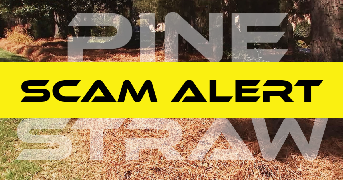 Pine Straw - Scam Alert (Duluth Police Department) — Nextdoor — Nextdoor