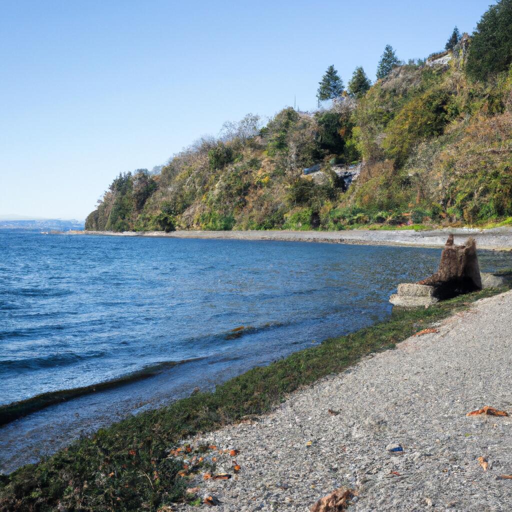 Matthews Beach, Seattle | Everything You Need to Know