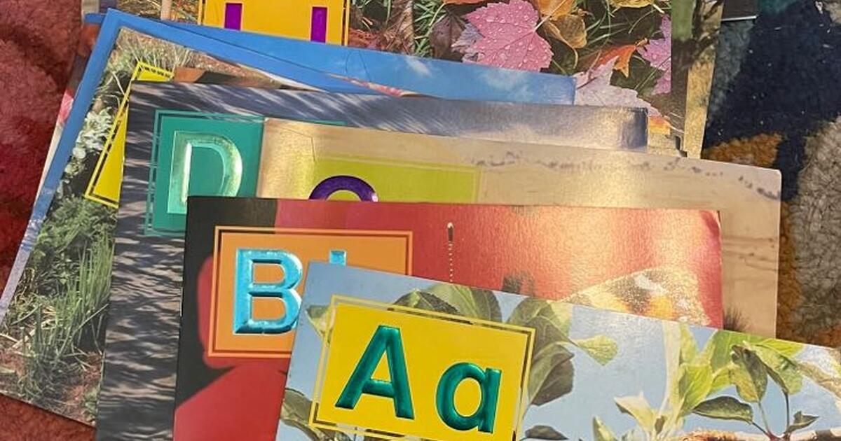 Steck-Vaughn Phonic Readers Plus: Student Reader Alphabet Set for $35 ...