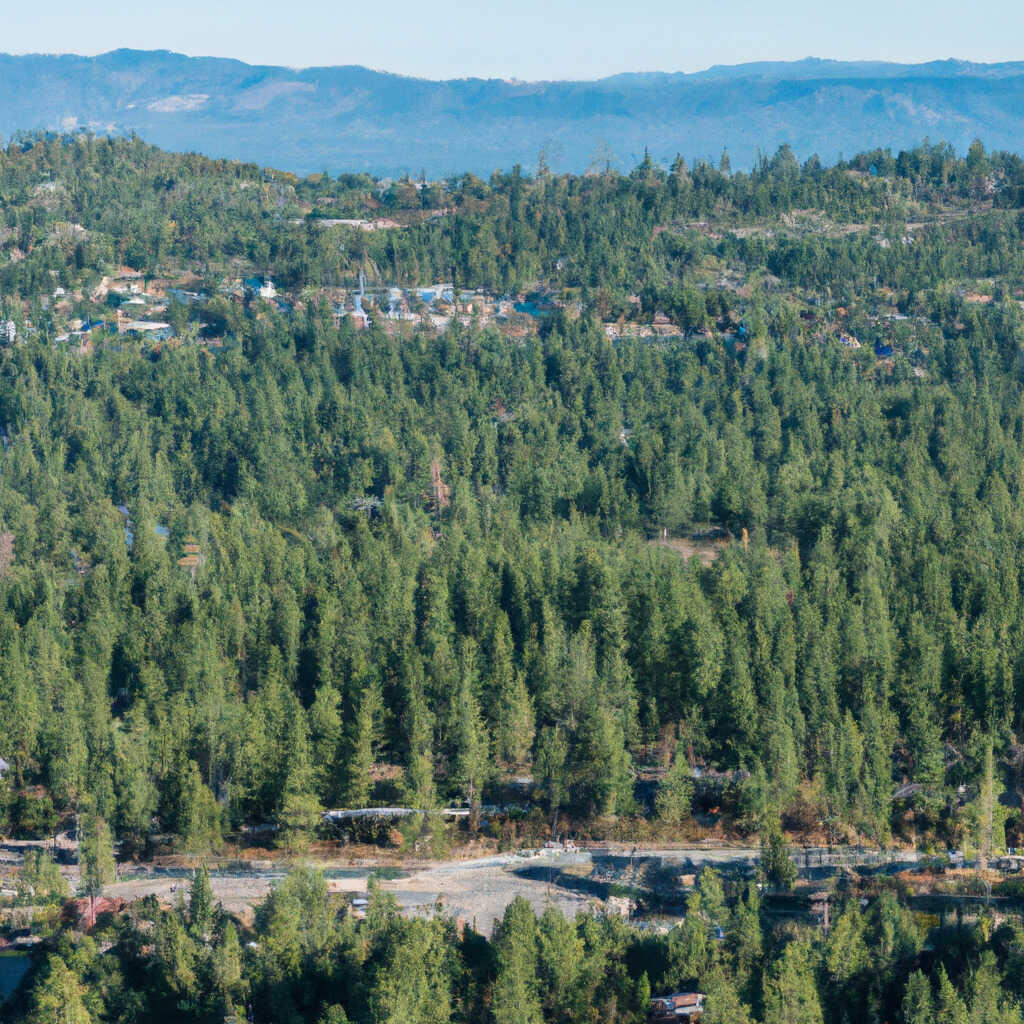 Yosemite Bug, Midpines | Everything You Need to Know