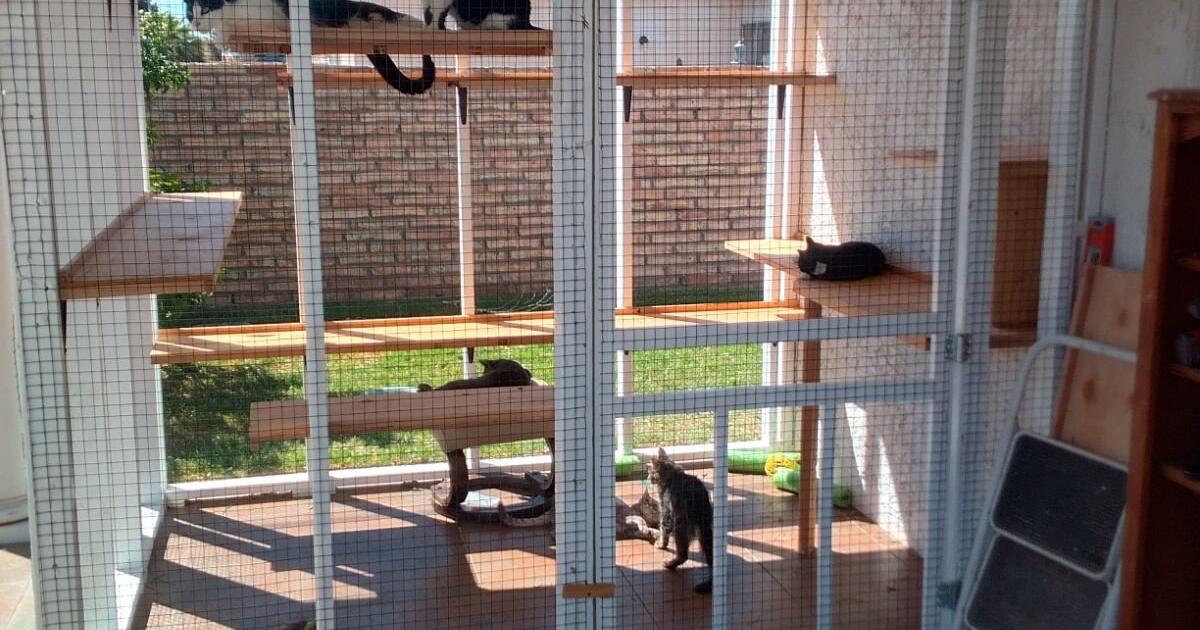 Catio for Free in Yuma, AZ | For Sale & Free — Nextdoor
