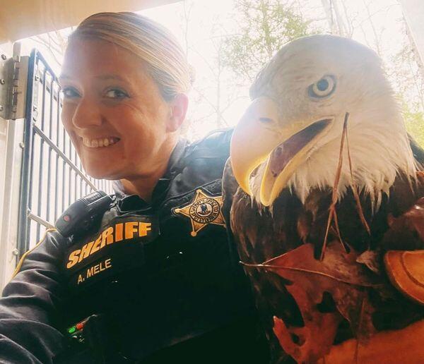 Last Friday, Deputy Amanda Mele reported to a call referencing an ...