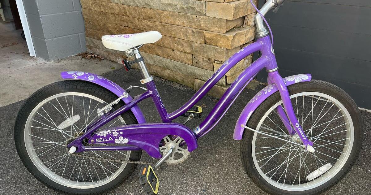 Free - Purple Bella Cruiser Bike for Free in Minnetonka, MN | For Sale ...