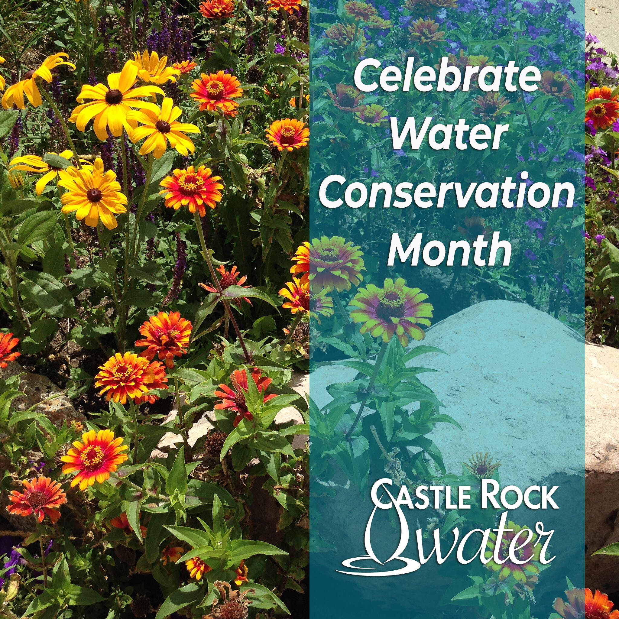 This #WaterWednesday we're wishing you a happy Water Conservation Month ...