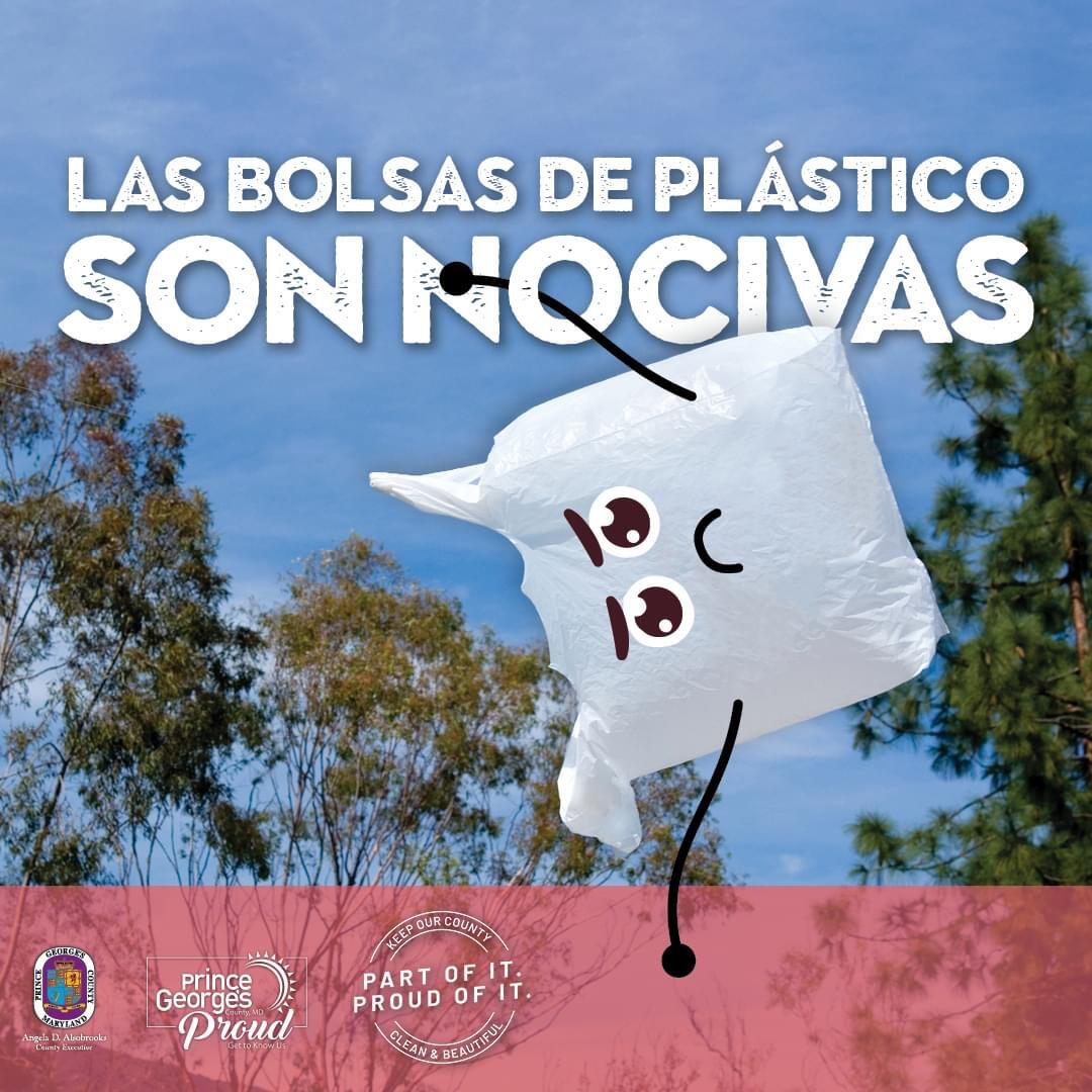 Plastic bags take centuries to decompose, pollute oceans, harm wildlife ...