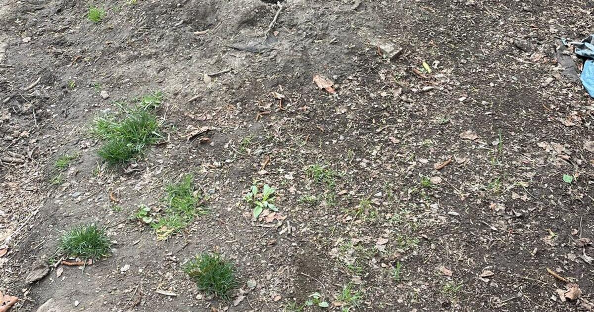 Clean fill for Free in Pittsburgh, PA | For Sale & Free — Nextdoor