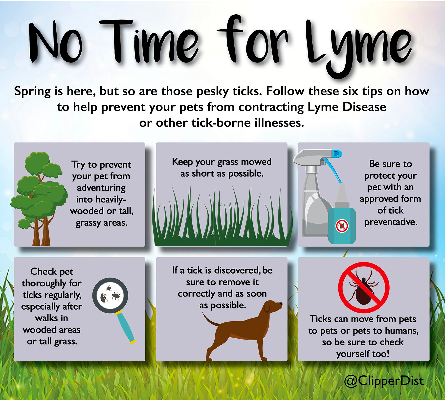 Protect your pet from tick-borne illnesses by regularly checking for ...