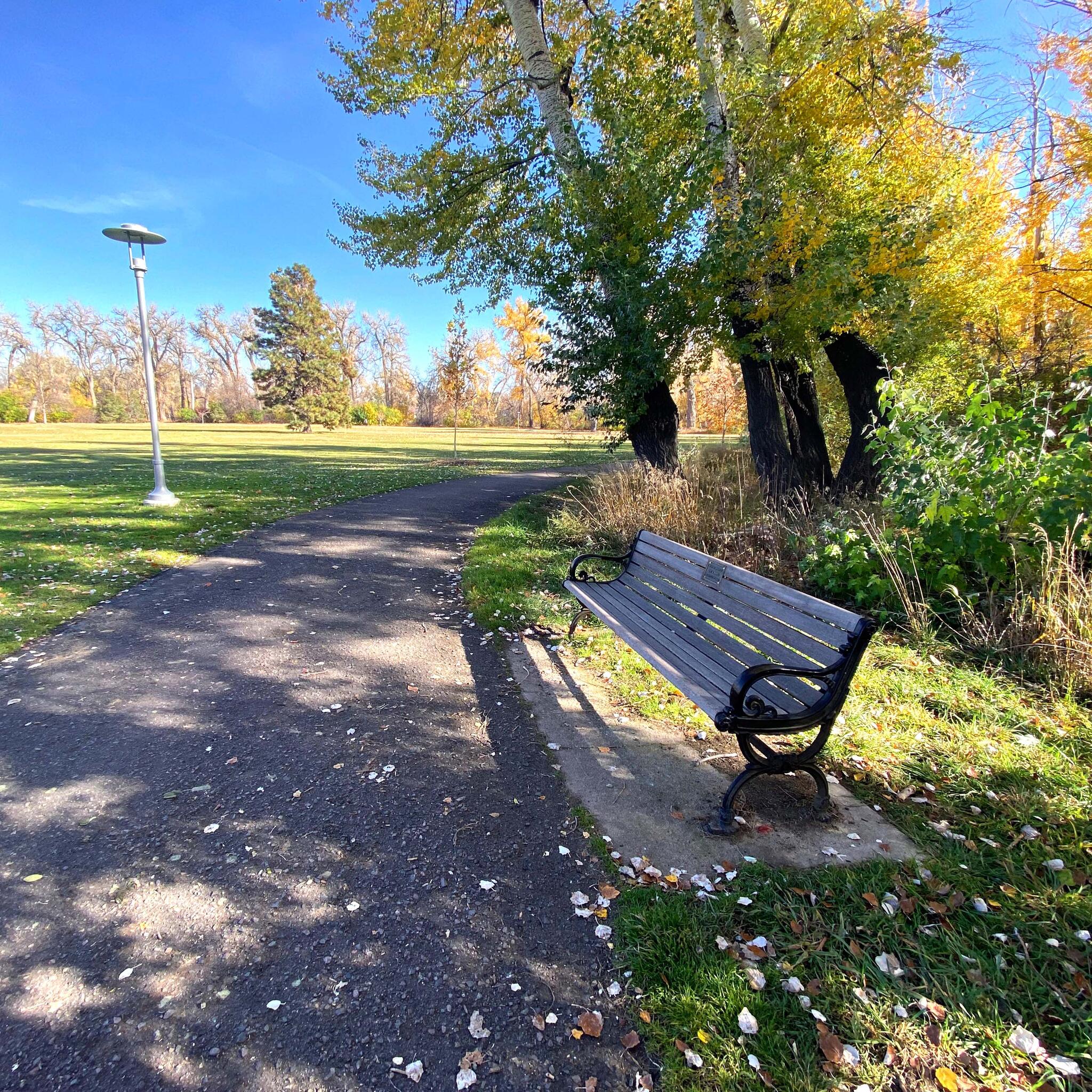 MONDAY, DECEMBER 11: LAST CALL to attend the in-person public meeting ...