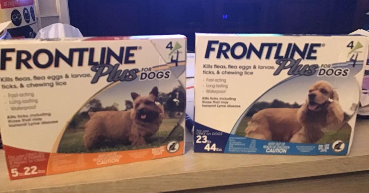 Frontline Plus for dogs -reduced price for $15 in Tampa, FL | For Sale ...