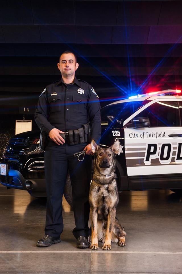 The Fairfield Police Department Welcomes The Newest Members Of The K-9 ...
