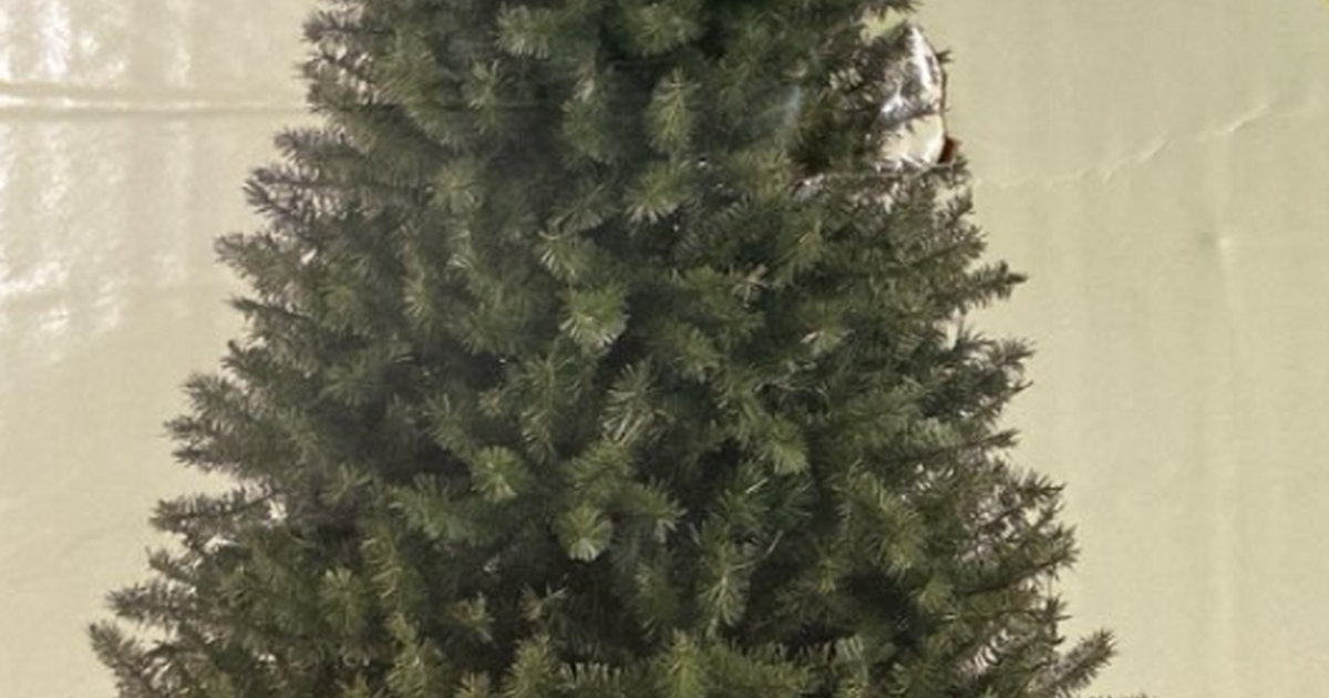 6 1/2 Ft. Unlit Martha Stewart Christmas Tree for $35 in Jacksonville ...