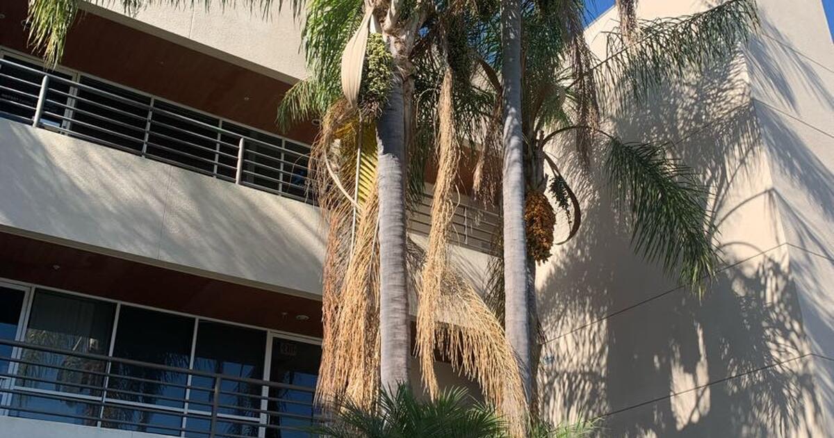 Full/part time therapy offices for rent. for Free in San Diego, CA ...